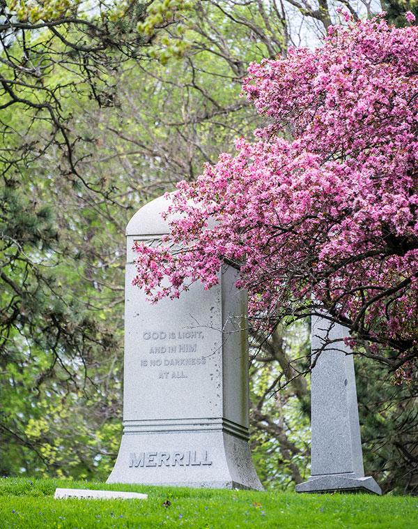 Healthcare Heroes of the Past | Crown Hill Foundation